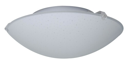CEILING LAMP 25CM LED | M&C Home Depot