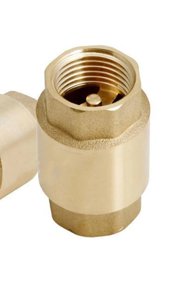 Cronex Swing Check Valve 1 Inch Brass 1 Each CXP5543/S | M&C Home Depot