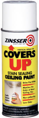 COVERS UP STAIN SEALING PAINT | M&C Home Depot