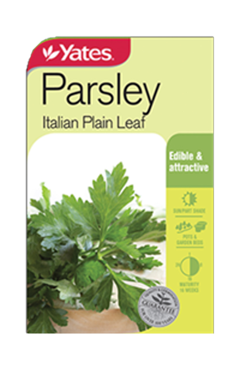 Yates Herbs Parsley Pain Leaf 1 Each 33931 307379 VSA | M&C Home Depot
