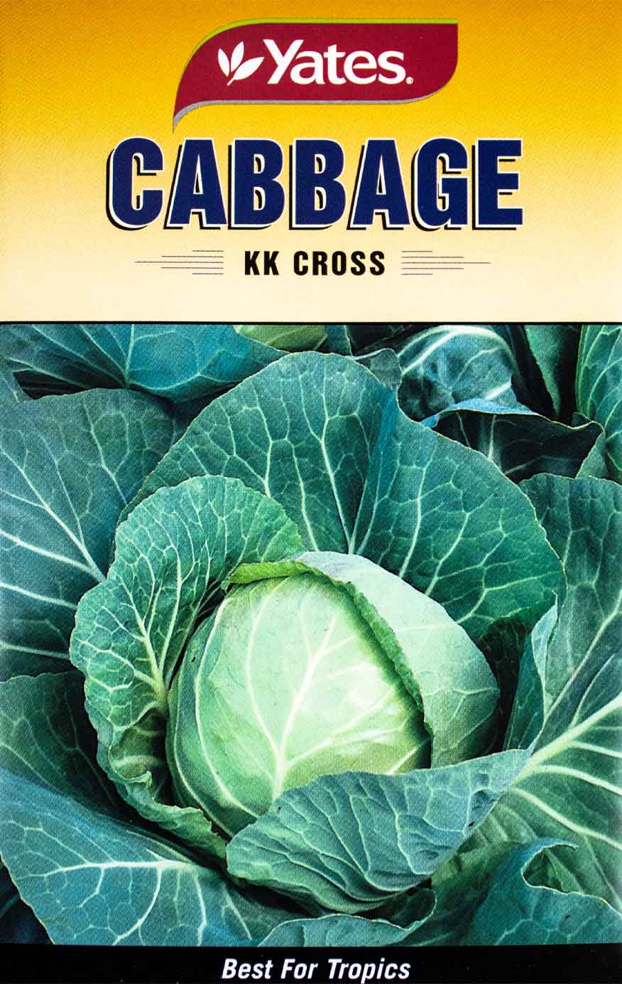 Yates Cabbage KK Cross 1 Each 31853 301322 VSB | M&C Home Depot