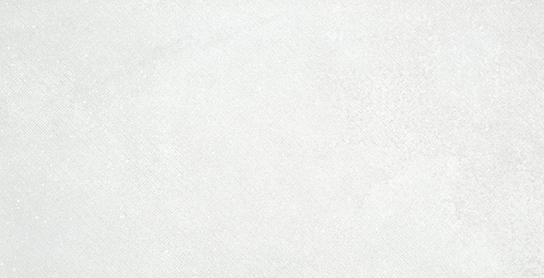 Ciron Matte Tile 30x60cm White 1 Each | M&C Home Depot