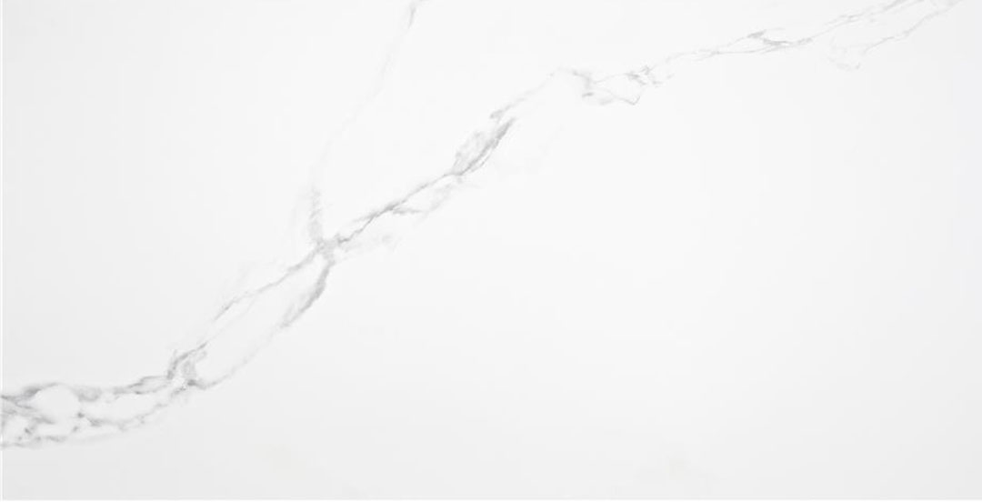 PE Pune Matte Tile 60x120cm Blanco 1 Each | M&C Home Depot