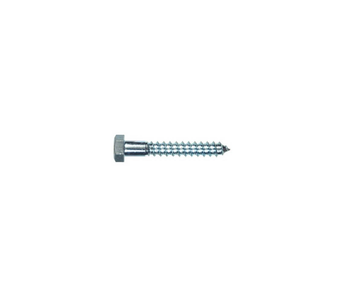 Hillman Hex Lag Screw 5/16x3 Inch Zinc 1 Each 230057 801-495 | M&C Home ...