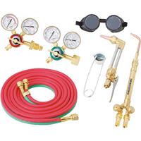 Forney Torch Kit 1 Each 01680 1705 | M&C Home Depot